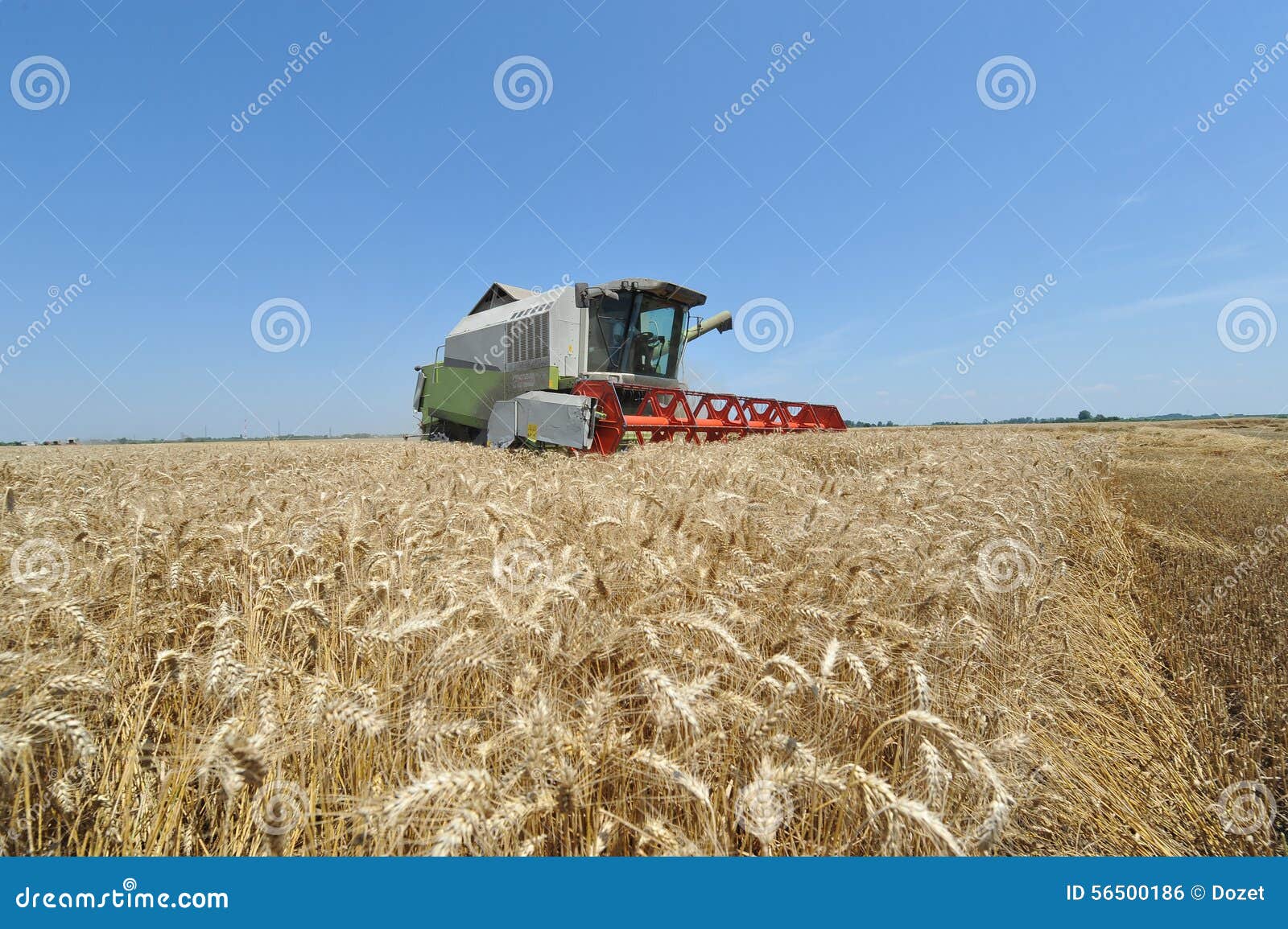 Modern Combine Harvester at Work Stock Photo - Image of canada, corns ...