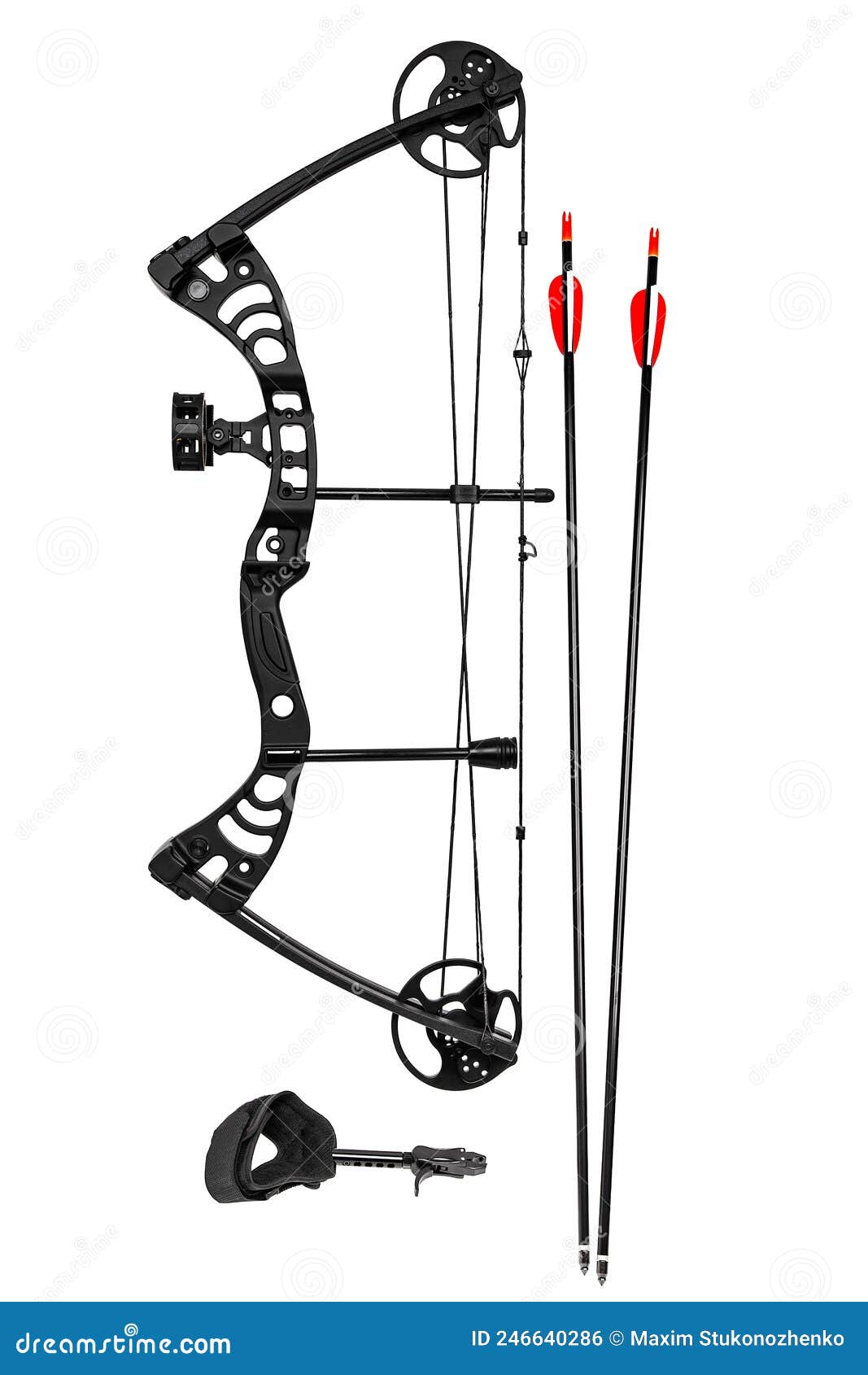 Modern, Compound Hunting Bow and Arrows Isolated on White Stock Photo ...