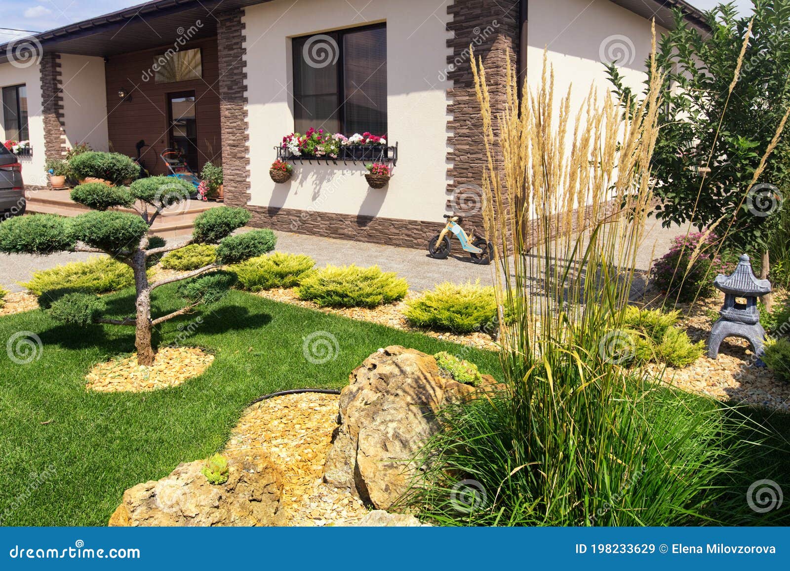 Modern Conifer Tree Garden Design. Stock Image - Image of concrete ...