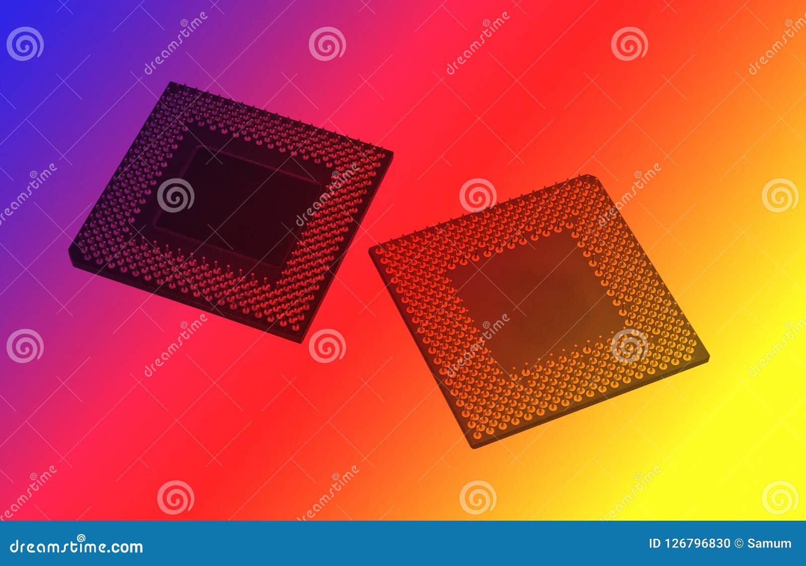 Modern CPU Isolated on White Stock Photo - Image of modern, circuit ...
