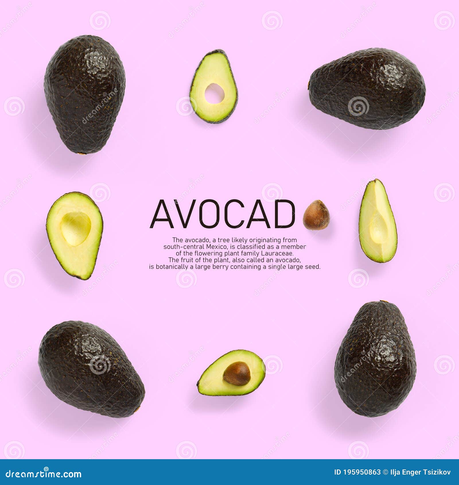 Modern Creative Avocado Collage with Simple Text on Solid Color ...