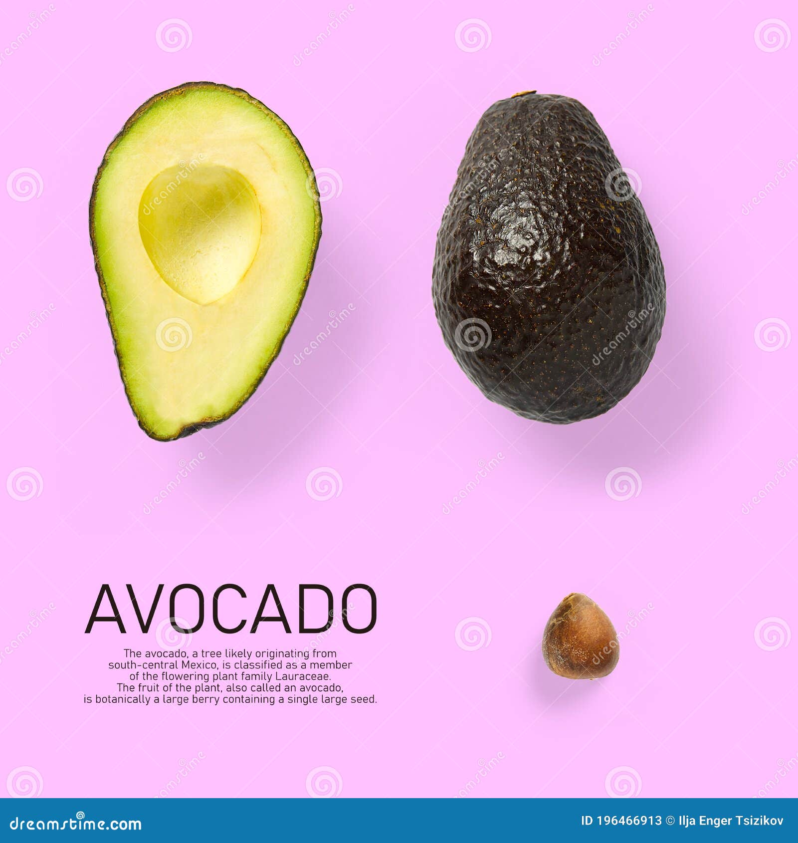 Modern Creative Avocado Collage with Simple Text on Solid Color ...