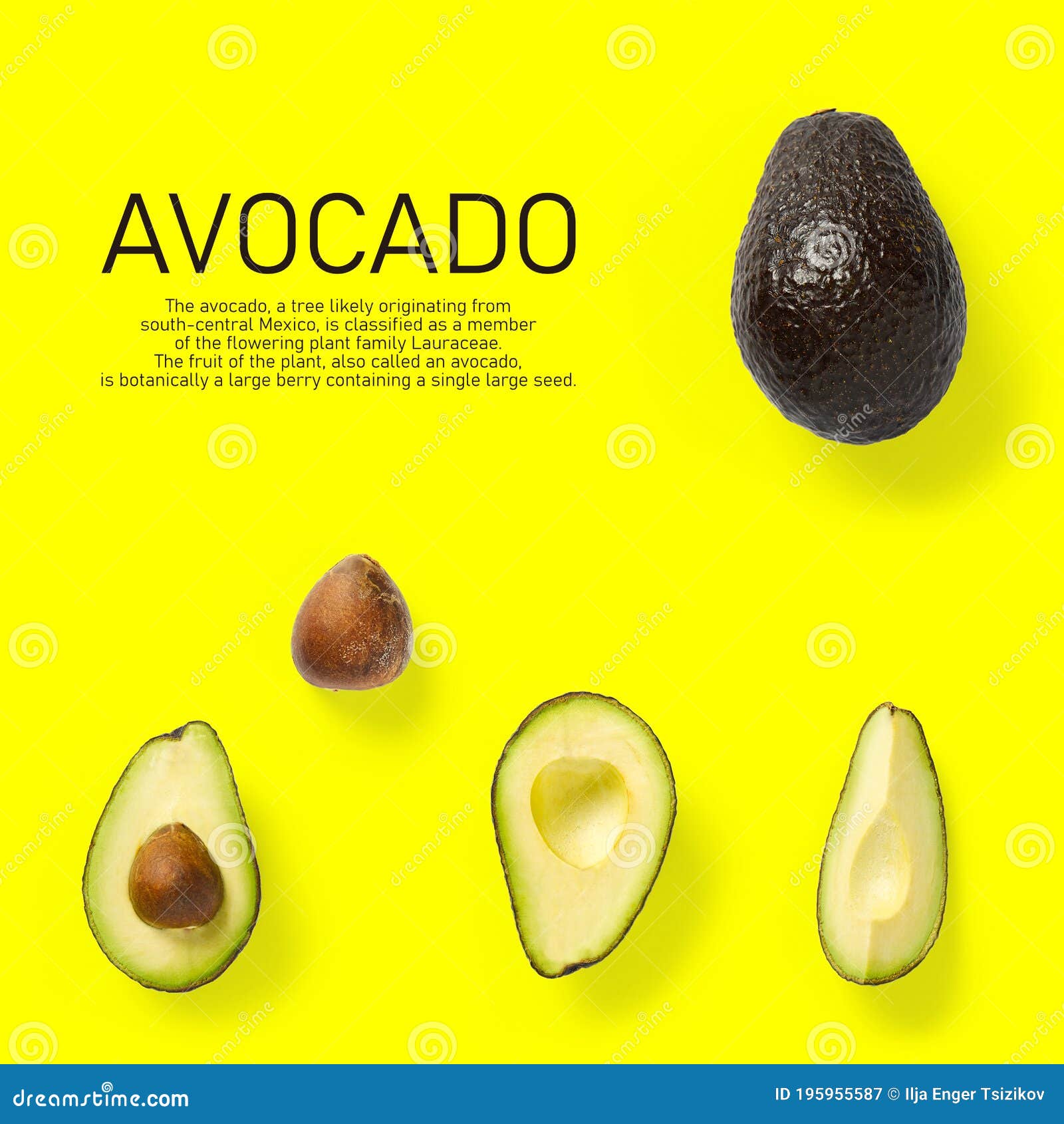 Modern Creative Avocado Collage with Simple Text on Solid Color ...