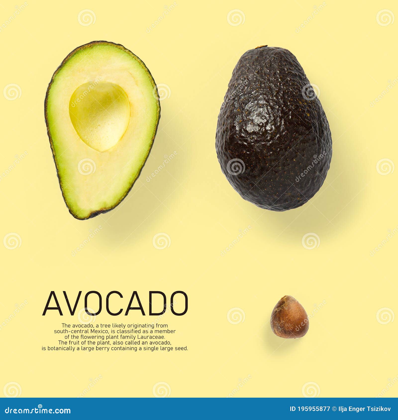 Modern Creative Avocado Collage with Simple Text on Solid Color ...