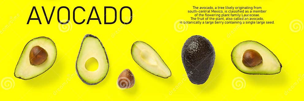 Modern Creative Avocado Collage with Simple Text on Solid Color ...