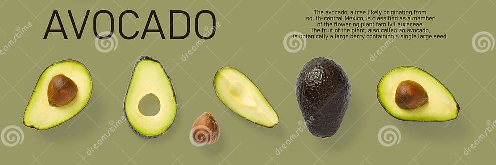 Modern Creative Avocado Collage with Simple Text on Solid Color ...