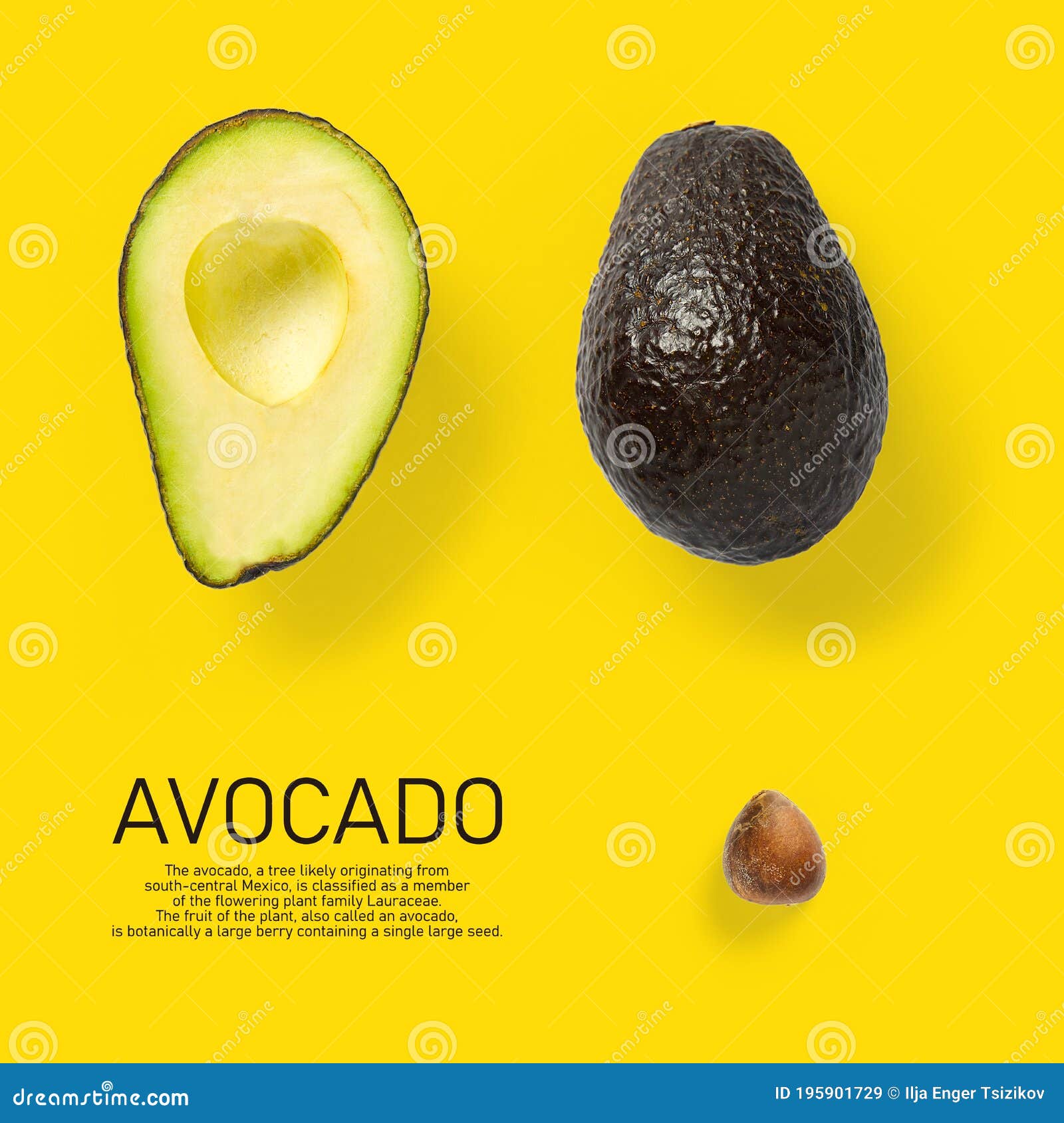 Modern Creative Avocado Collage with Simple Text on Solid Color ...