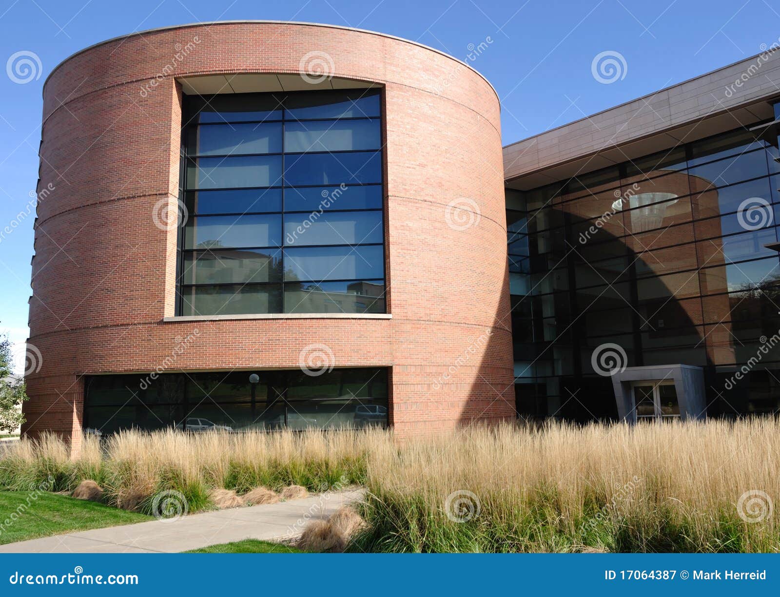 Modern Cylindrical Office or University Building Stock Image - Image of ...