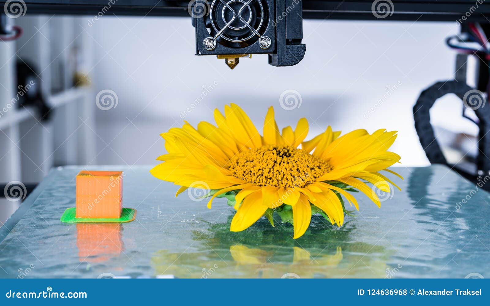 Modern 3D Printing. 3d Printer Mechanism Working during the Processes ...