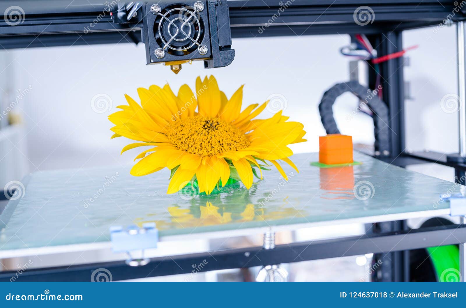 Modern 3D Printing. 3d Printer Mechanism Working during the Processes ...
