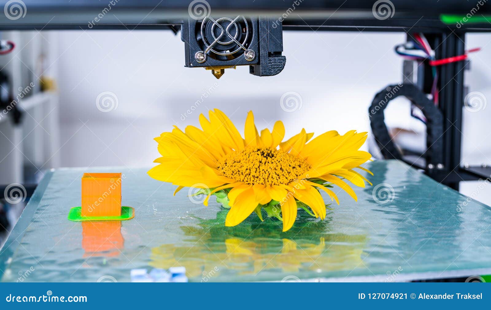 216 Printer Flower Stock Photos - Free & Royalty-Free Stock Photos from ...