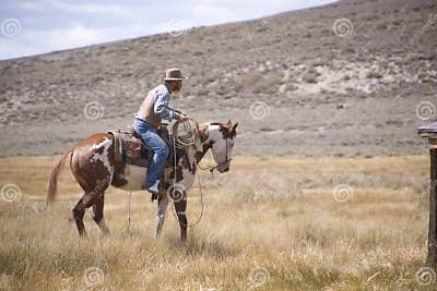 Modern Day Cowboy editorial photo. Image of settlement - 26782546