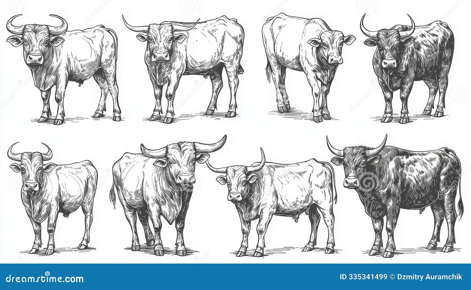 Modern Design of an Engraved Black and White Bull Stock Image - Image ...