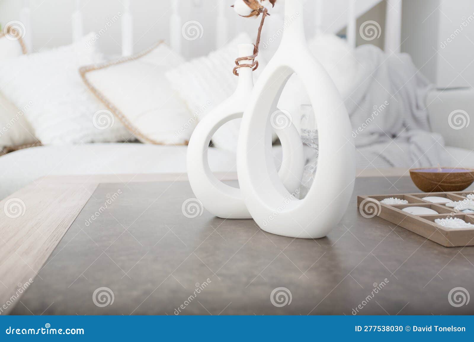 Modern Designed Living Room Scene, Coffee Table, Sofa, Prop, Decor ...