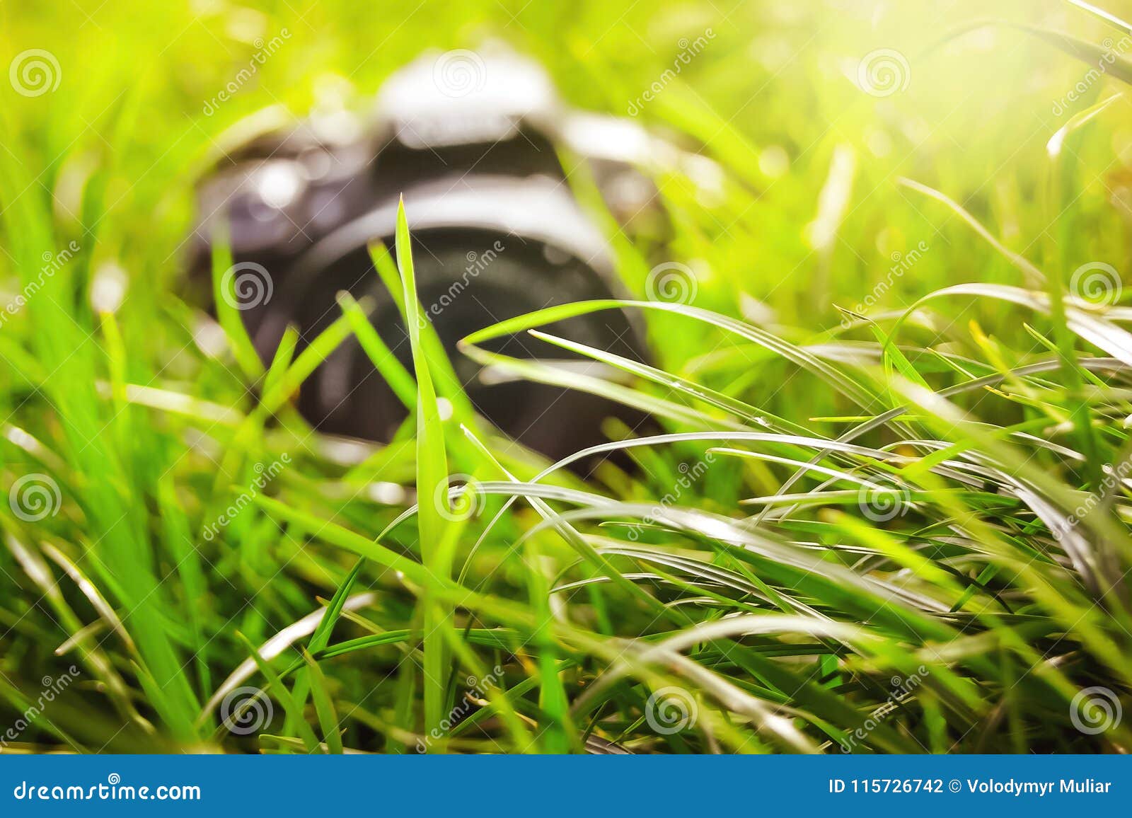 Modern Digital Camera in Grass. Break during Photography_ Stock Photo ...