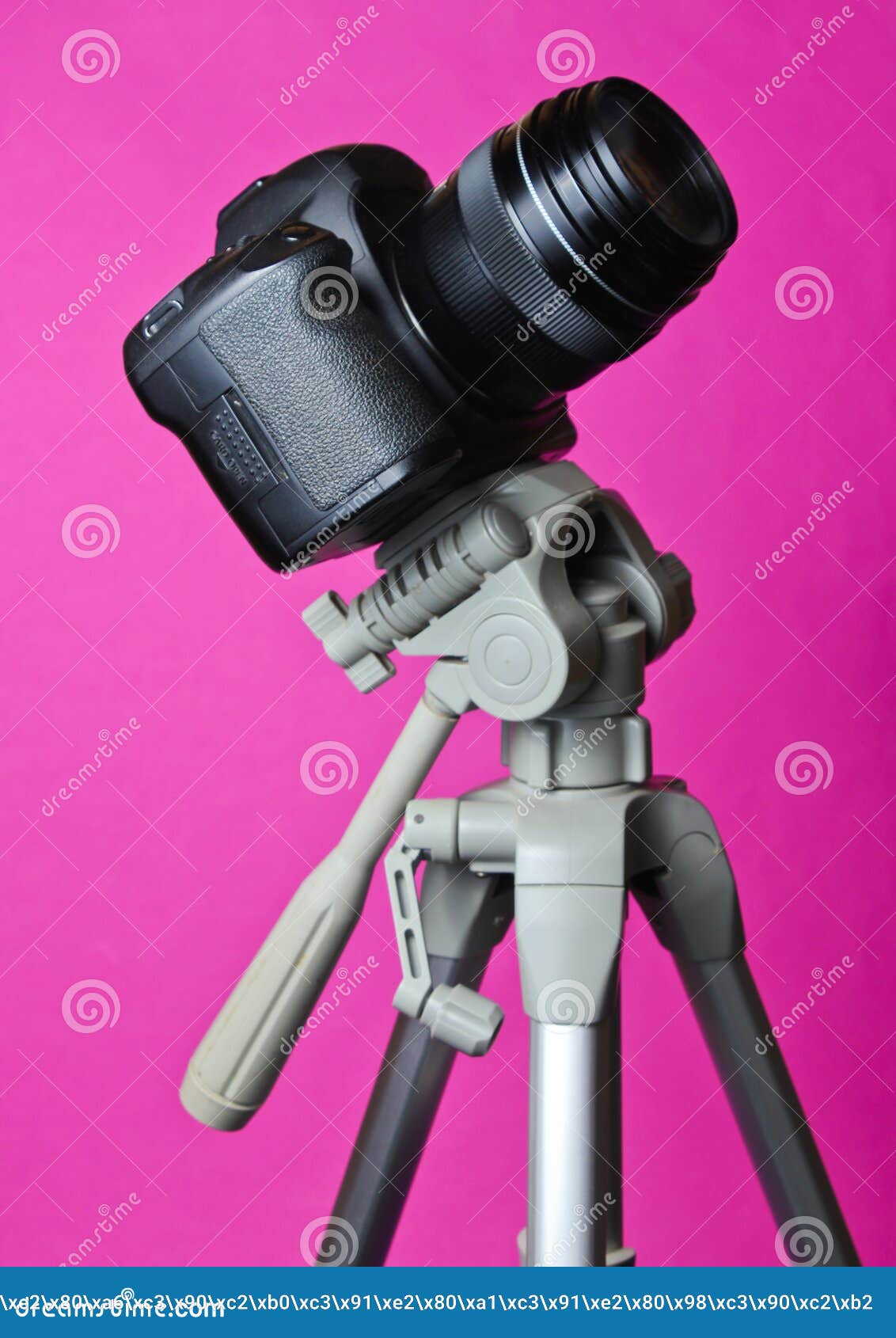 Camera stock photo. Image of photographer, dslr, camera - 156856936