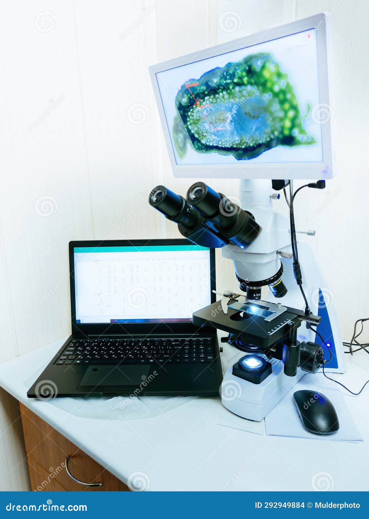 Modern Digital Microscope Equipped with Camera, Computer in Laboratory ...