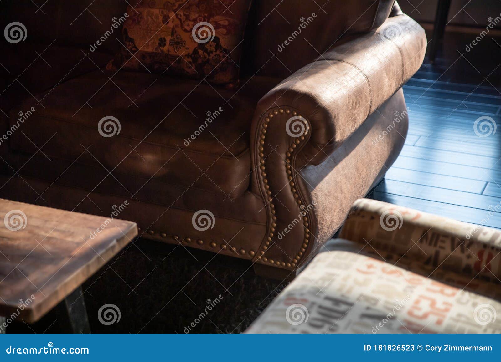 Modern Dramatic Interior Design Aesthetic with Couches and Chairs Stock ...