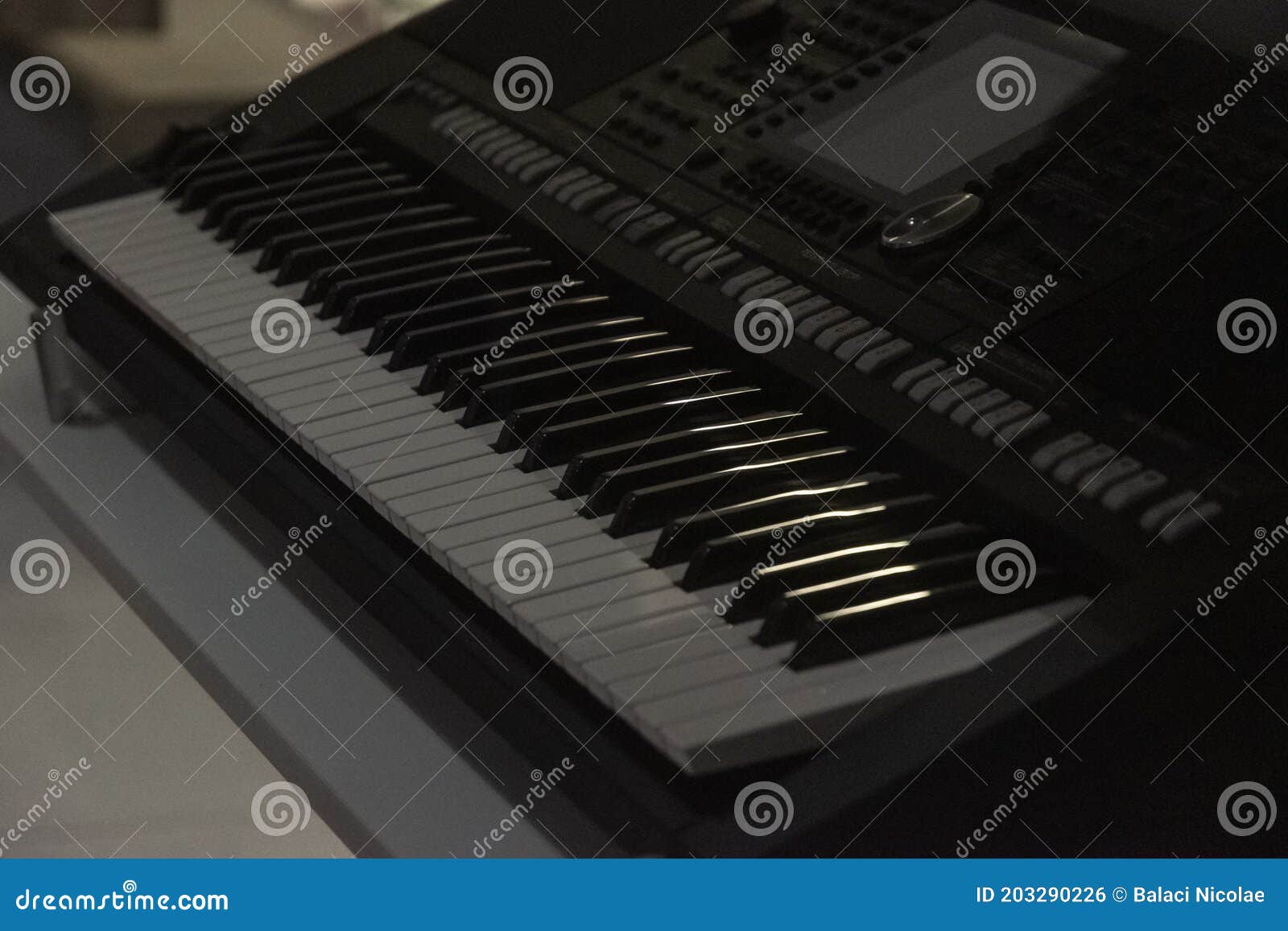 Modern Electronic Organ with Built-in Speakers and a Multitude of ...