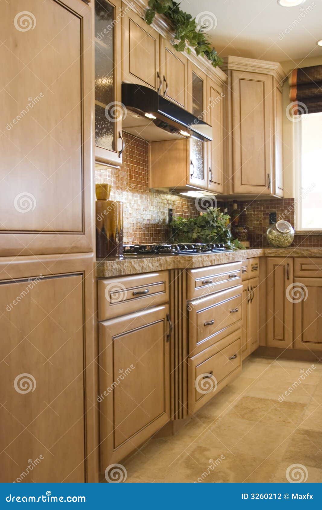 Modern elegant kitchen stock photo. Image of home, modern - 3260212