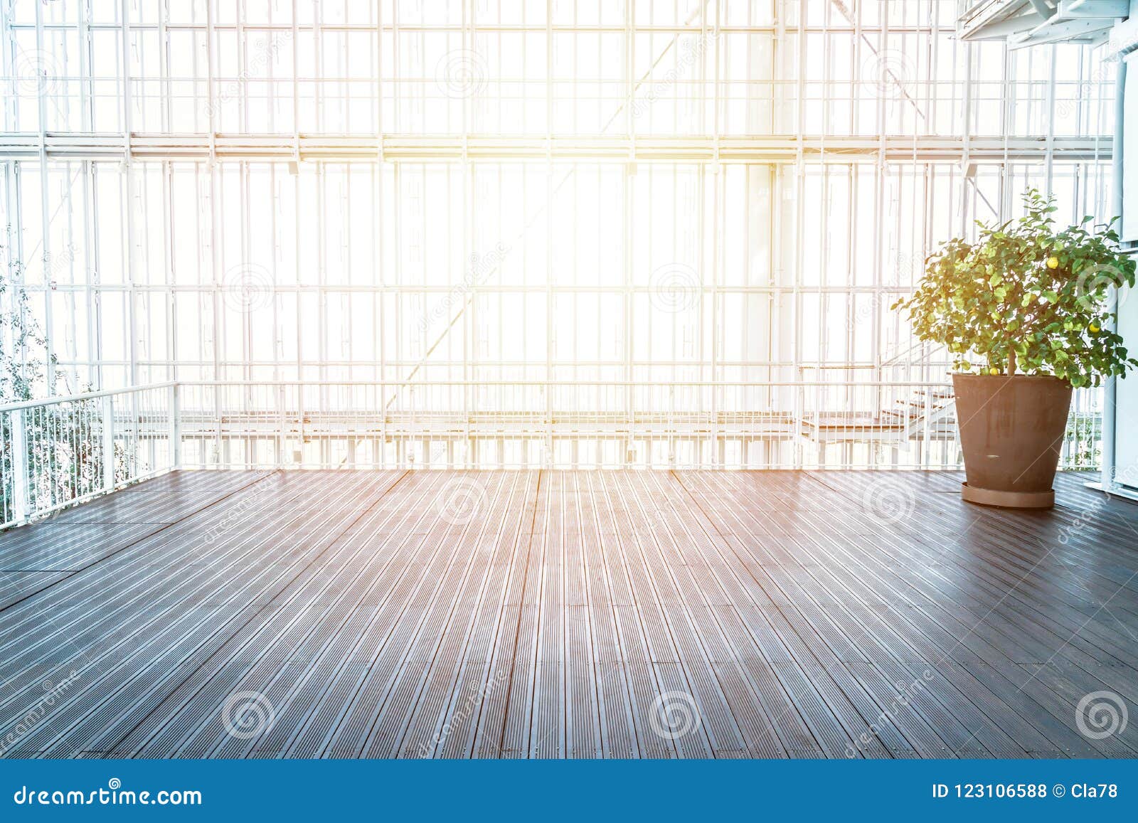 Modern Empty Interior with Beautiful Sunlight Stock Photo - Image of ...