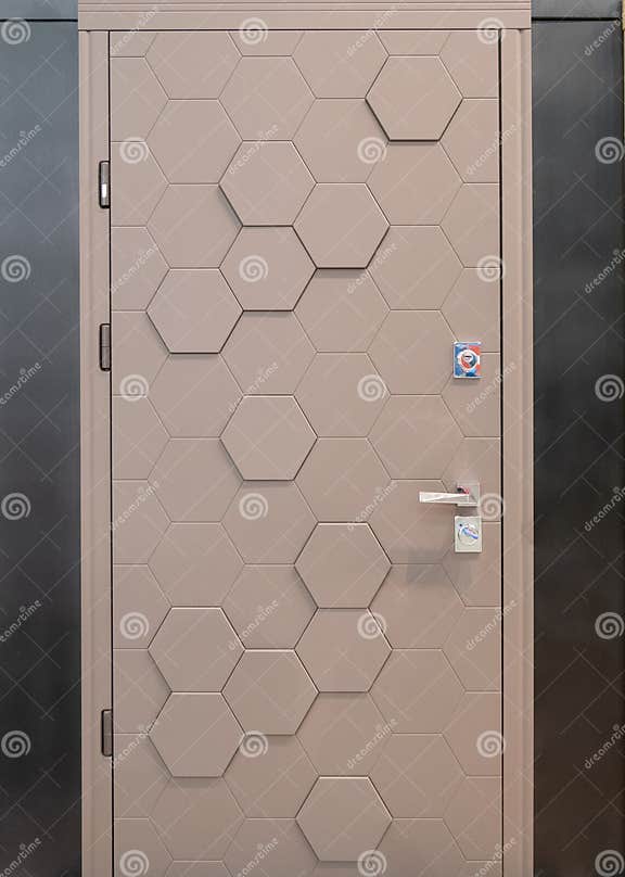 Modern Entrance Front Door with Hexagon Cell Pattern Stock Image ...