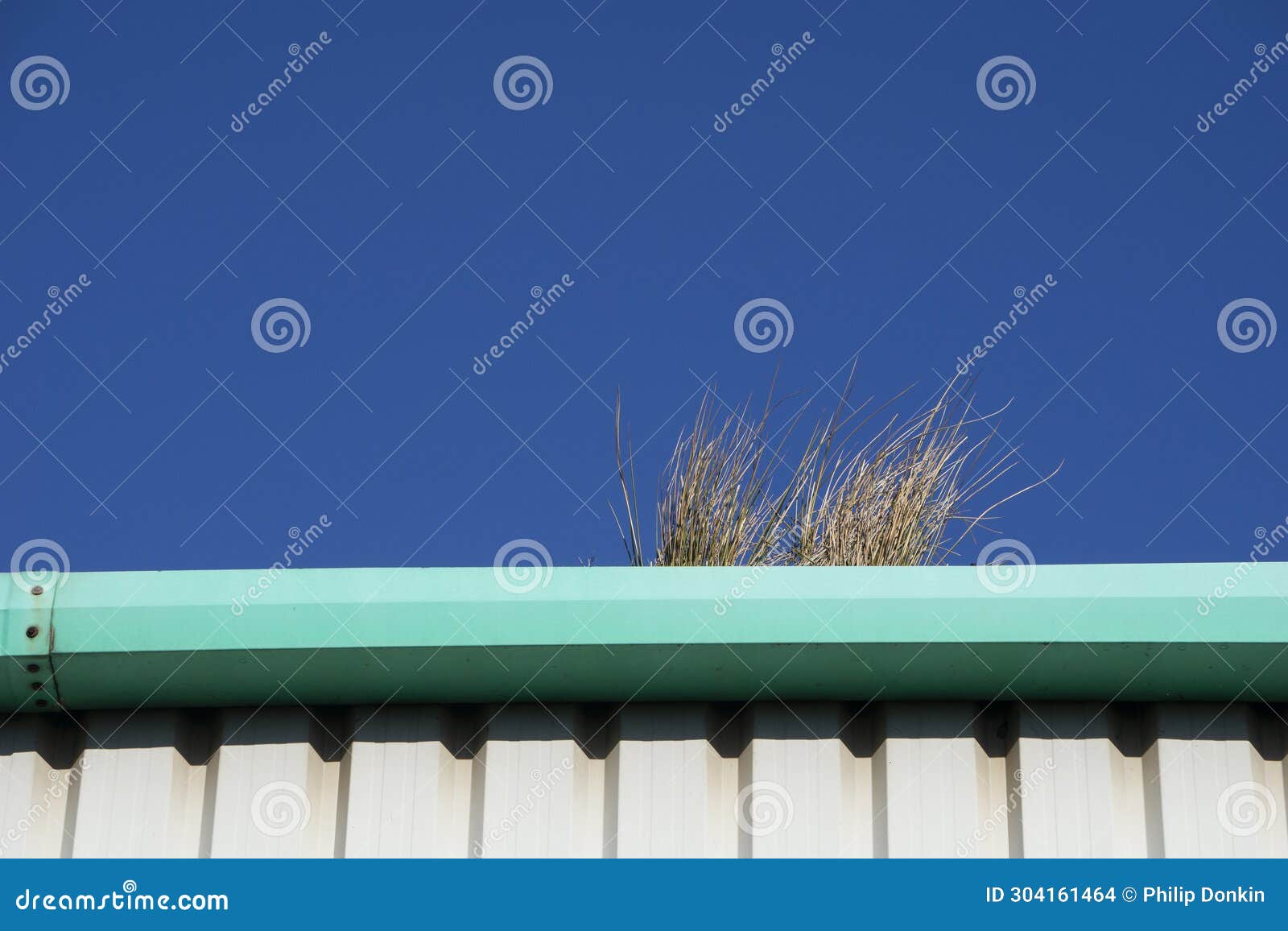 Modern Fabricated Buildings with Metal Cladding for Quick Assembly and ...