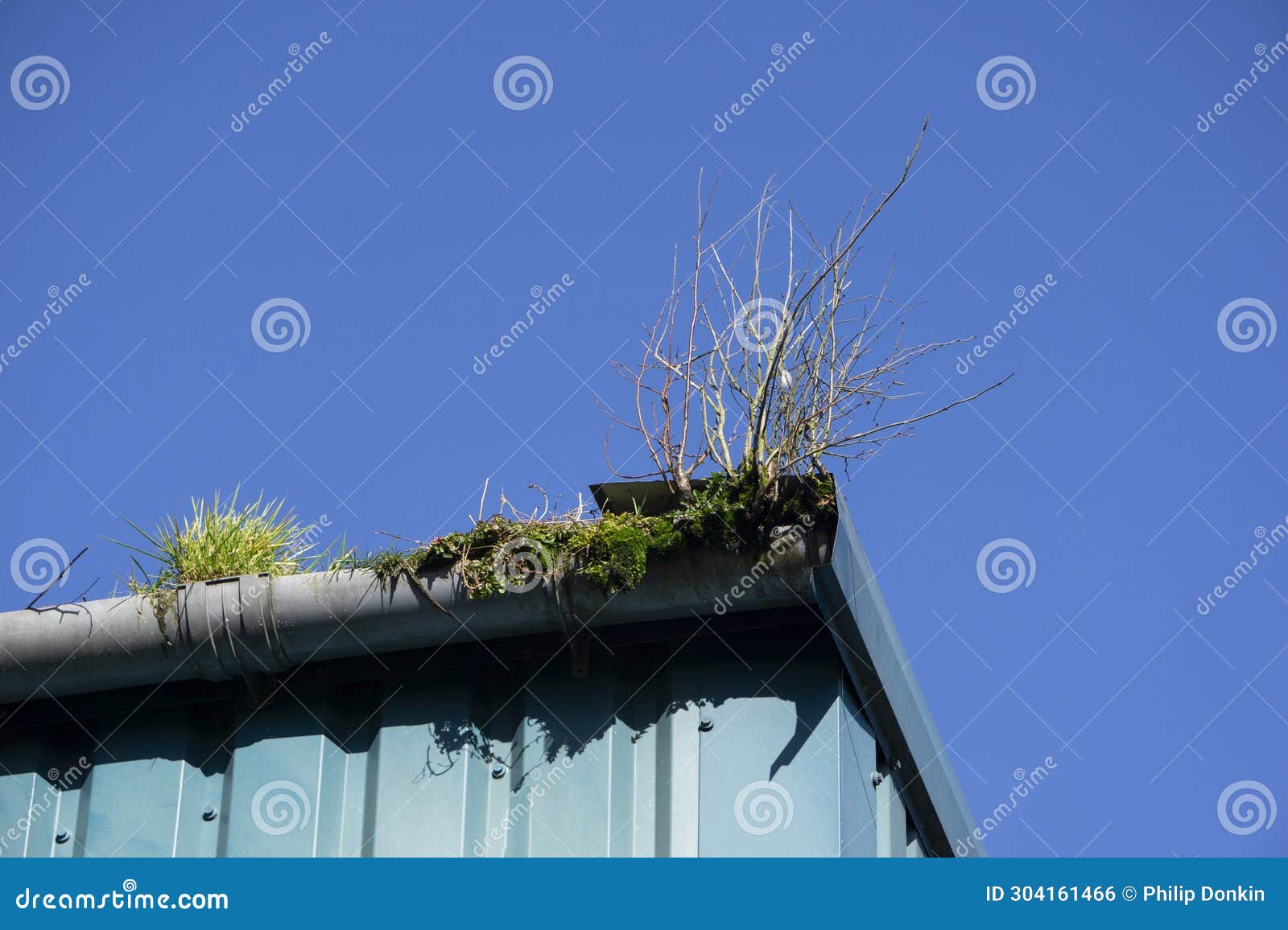 Modern Fabricated Buildings with Metal Cladding for Quick Assembly and ...