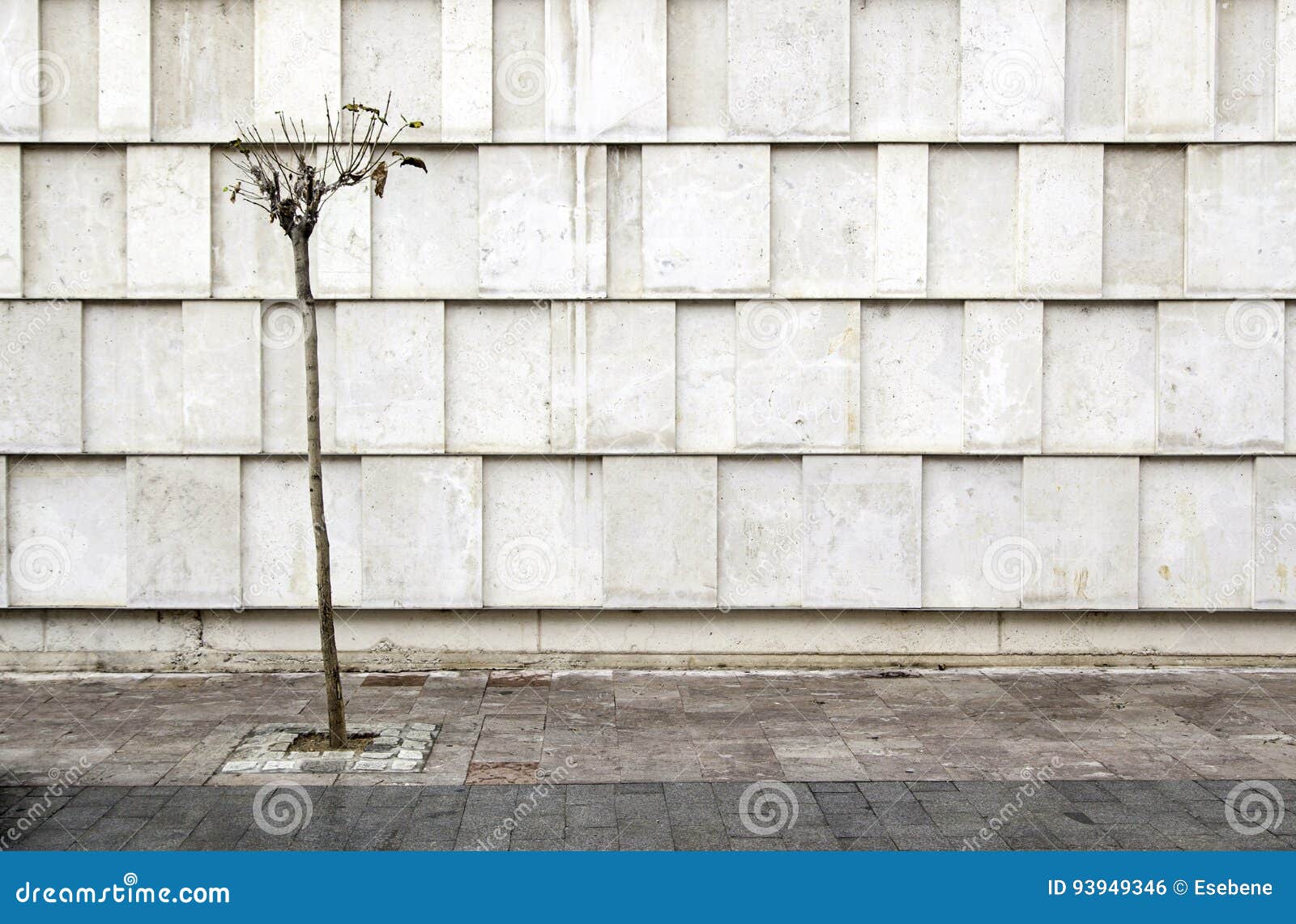 Modern facade with tree stock photo. Image of house, palm - 93949346