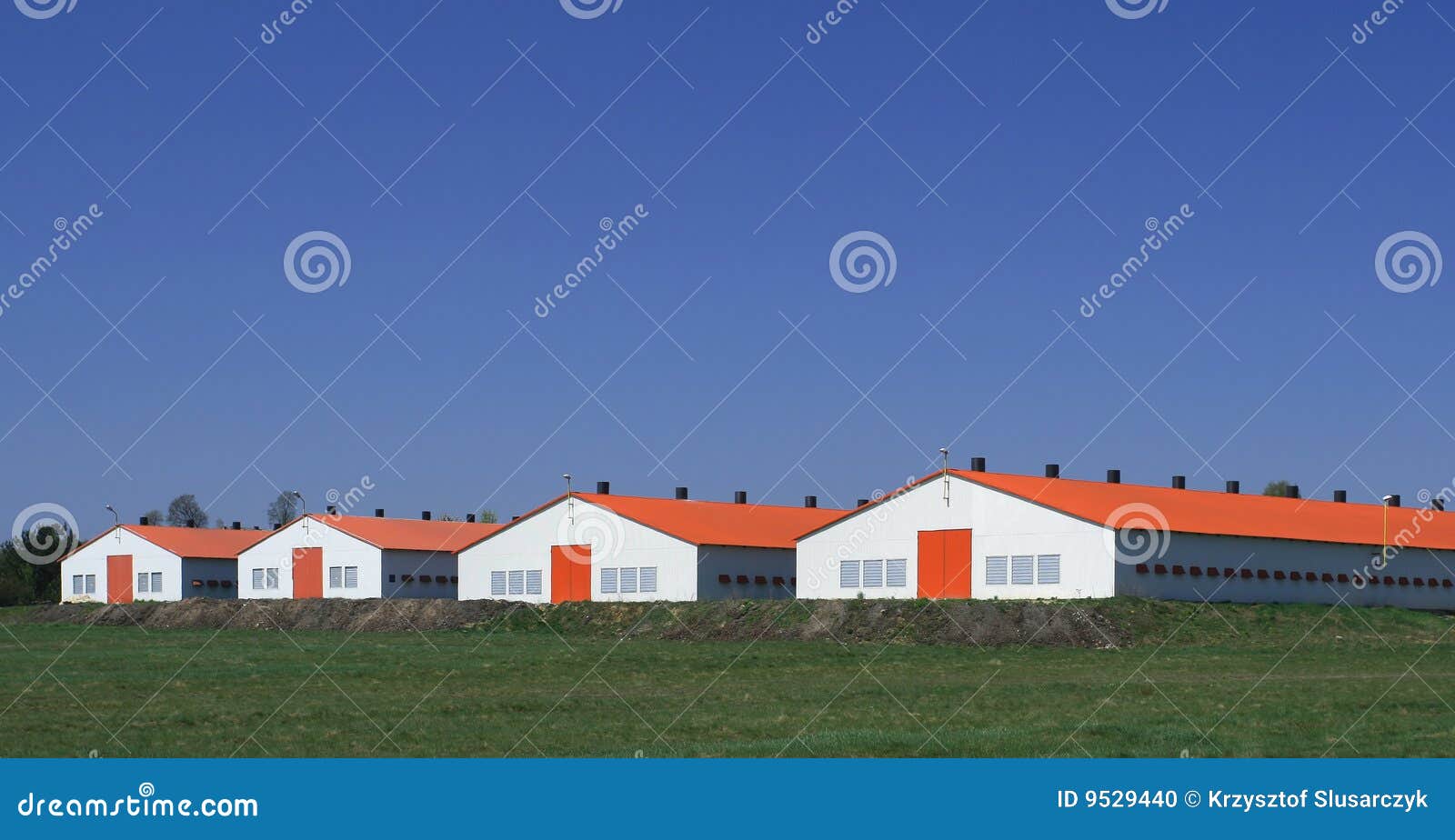 Modern farm stock photo. Image of poultry, building, architecture - 9529440