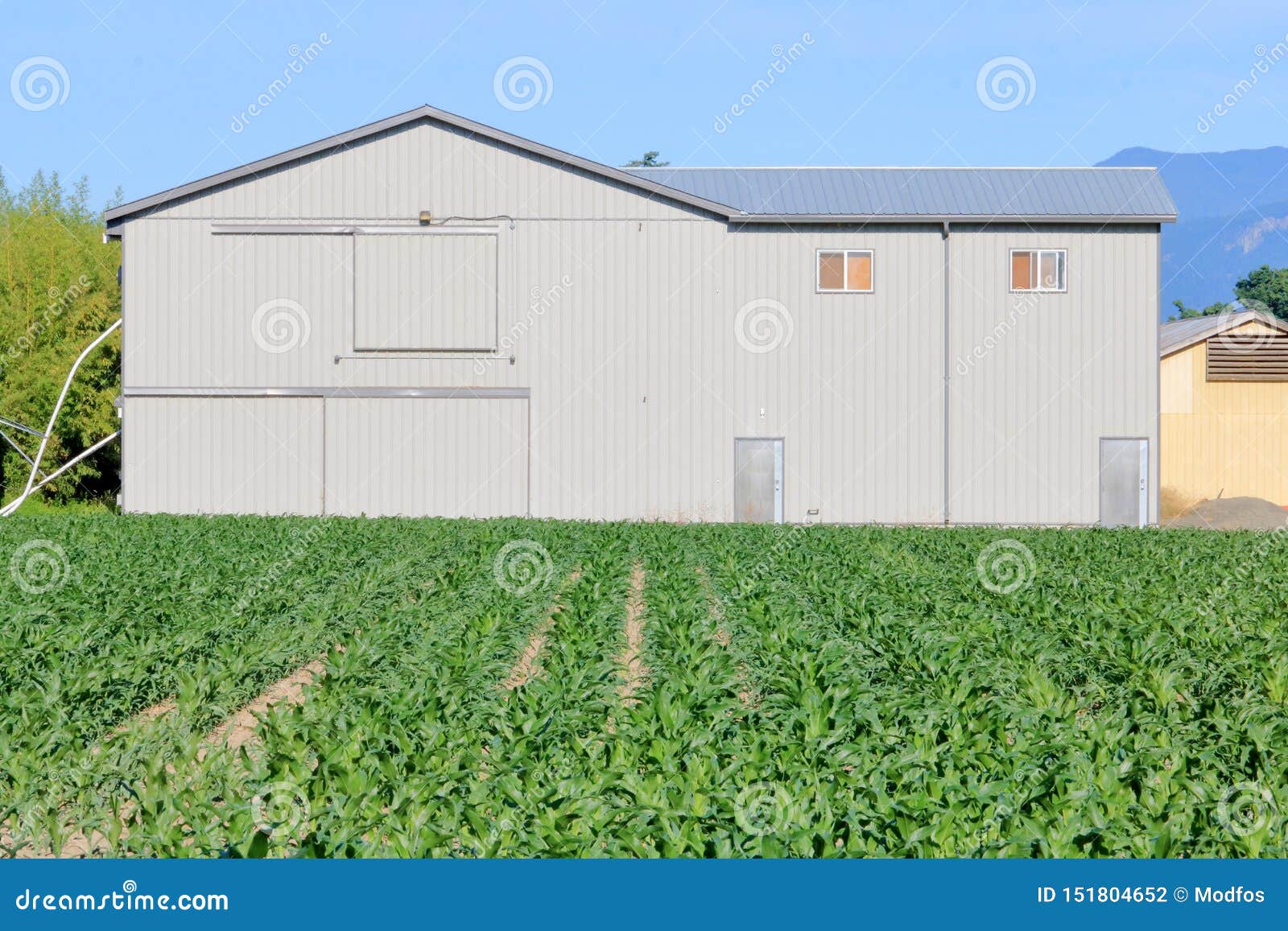Modern Farm Building and Hay Loft Stock Photo - Image of acreage, grey ...