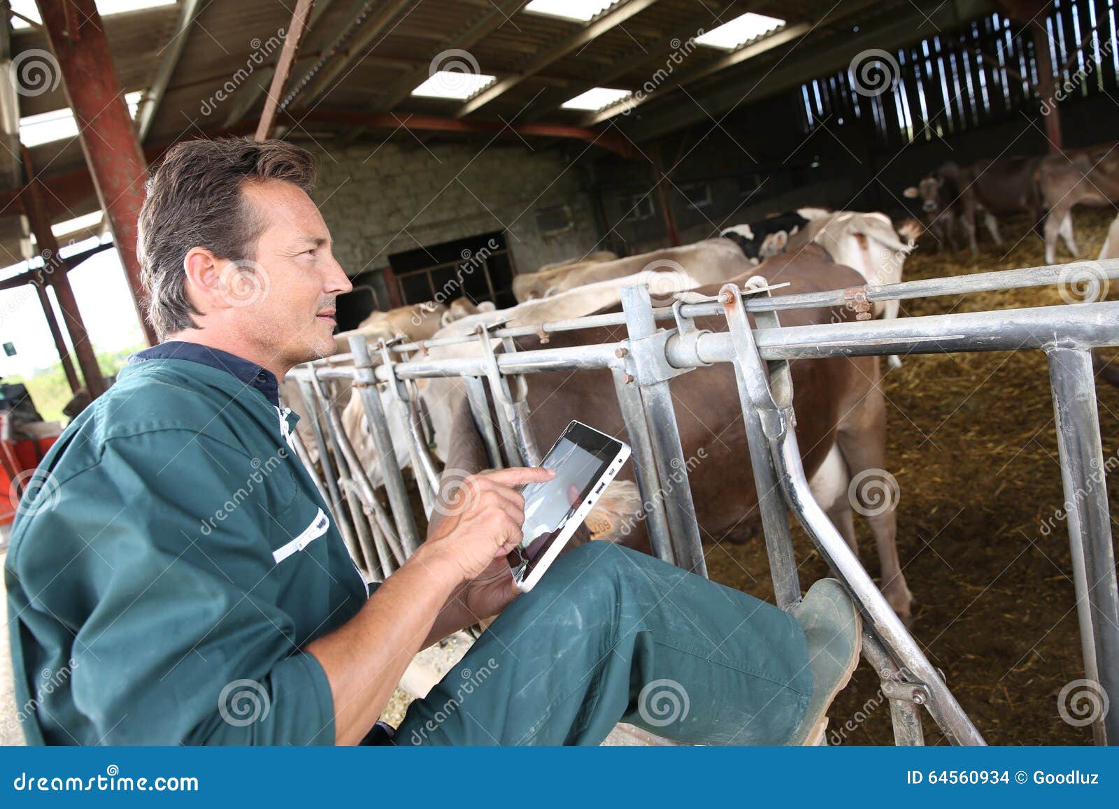 Modern Farmer with Tablet in Barn Stock Photo - Image of barn, herdsman ...