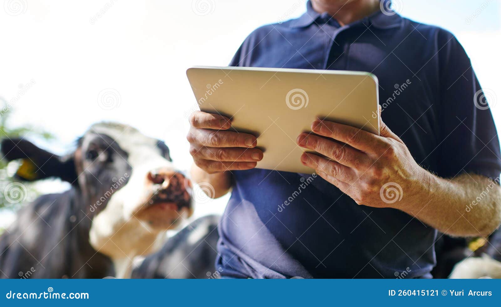 The Modern Farmers Assistant. a Farmer Using a Digital Tablet on His ...