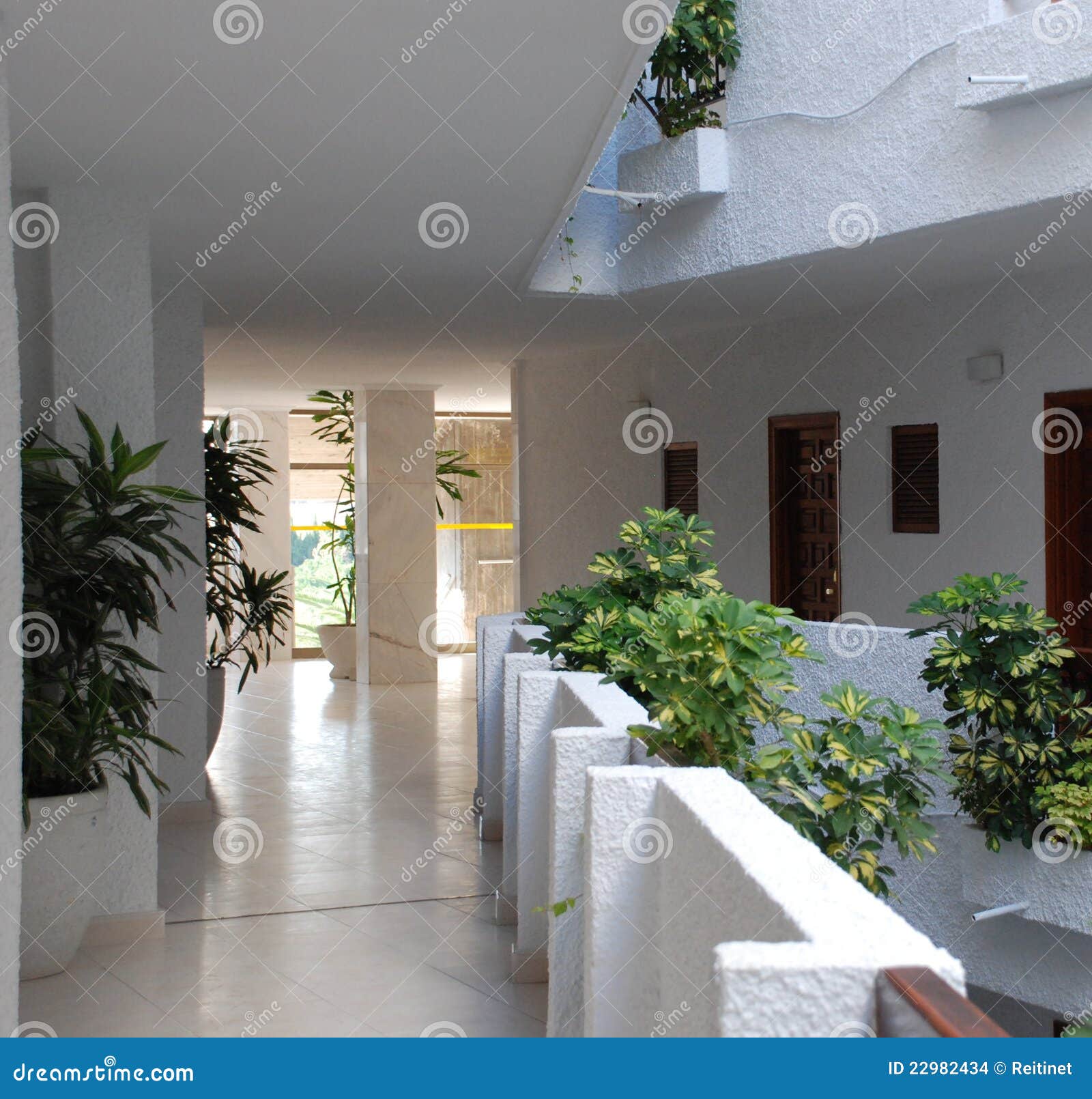 Modern Finca stock photo. Image of finca, vacation, native - 22982434