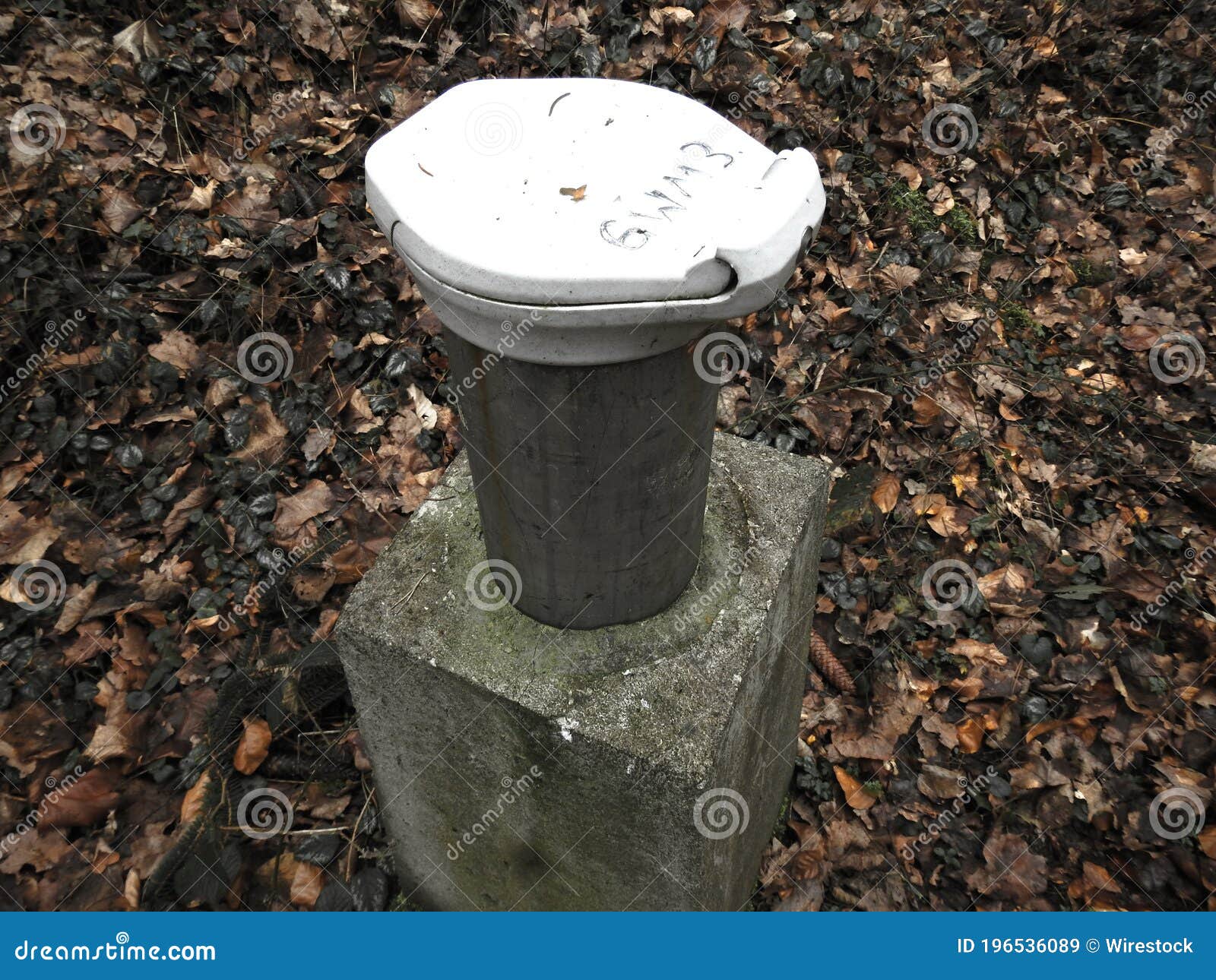 Modern Fire Hydrant in the Middle of the Forest Stock Image - Image of ...