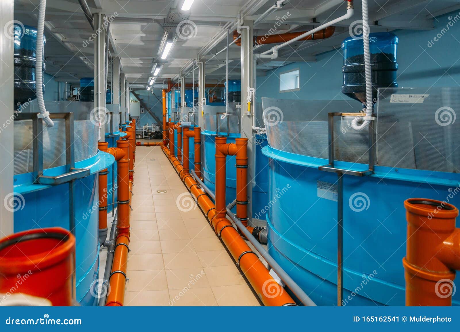 Modern Fish Farm with Closed Water Circulation Supply Stock Image ...