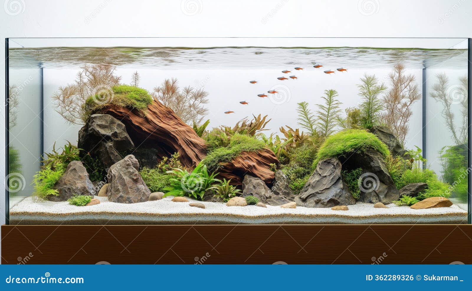 Modern Fish Processing Plant Conveyor Belt With Raw Sea Fish Being ...