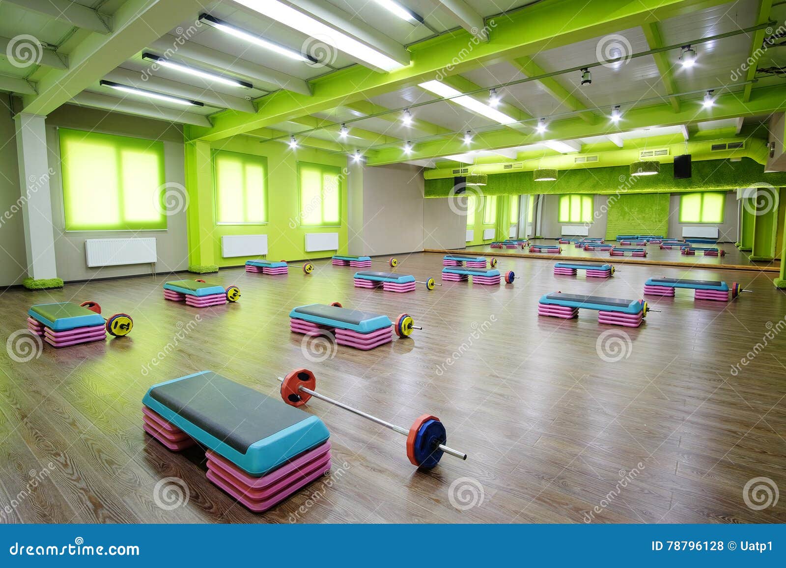 Fitness Hall Royalty-Free Stock Photography | CartoonDealer.com #55918055