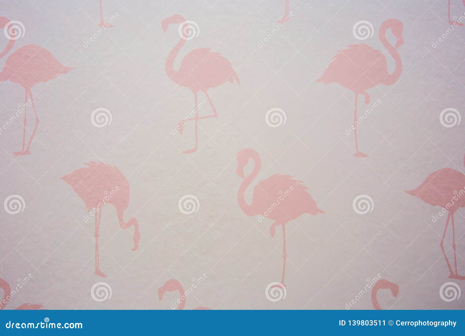 Modern Flamingo Lovers Background Pink Texture Design Stock Image ...