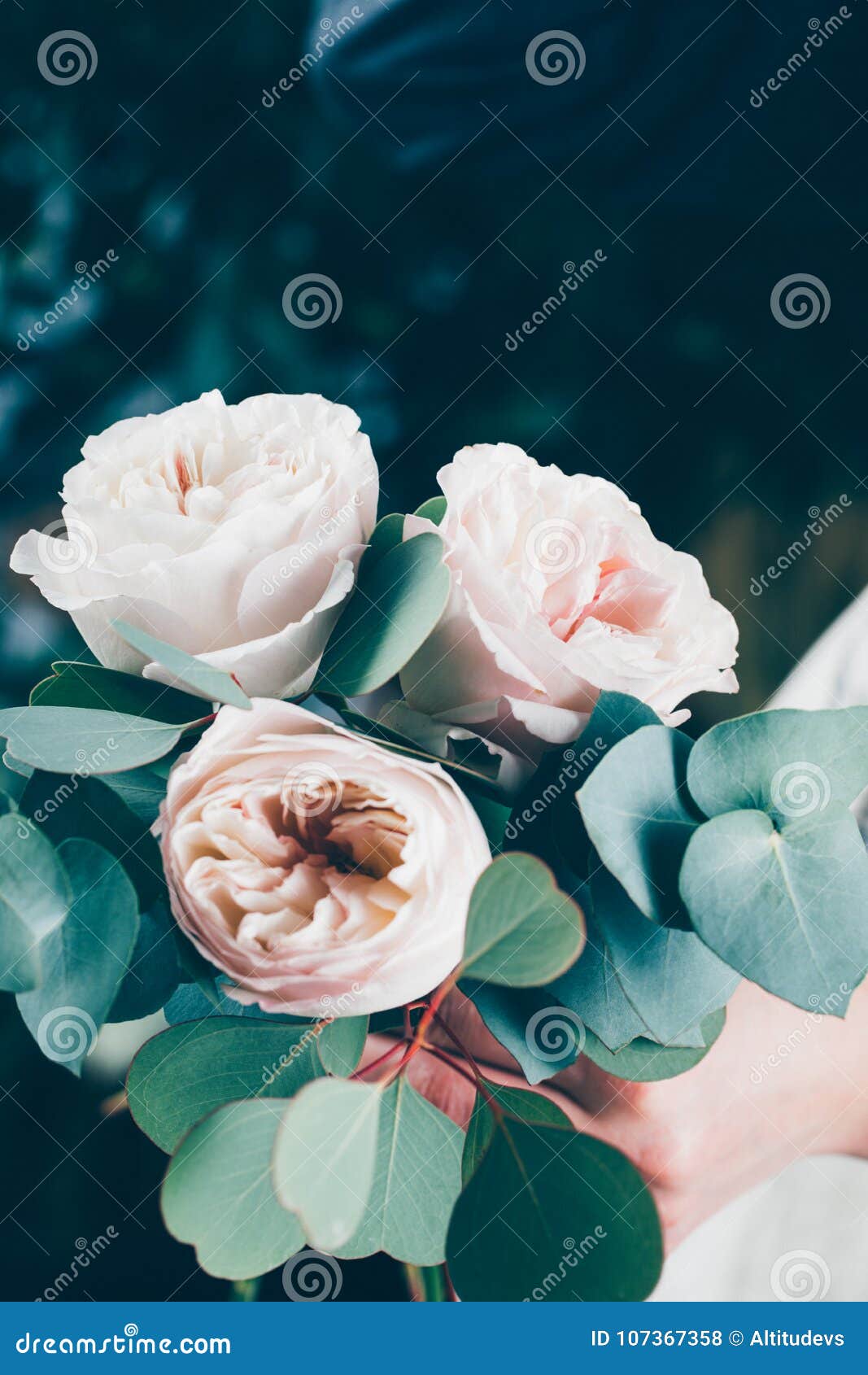 Modern Flower Bouquet from Professional Stock Photo - Image of bloom ... Modern Flower Bouquet from Professional Stock Photo - Image of bloom ...