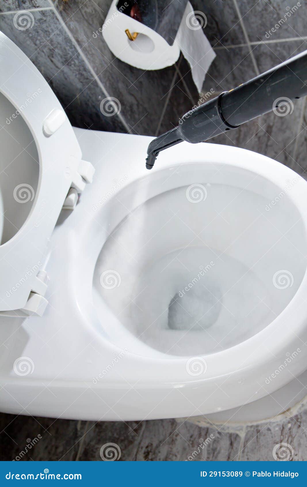 Modern Flush Toilet. Cleaning Stock Image - Image of interior, clean ...