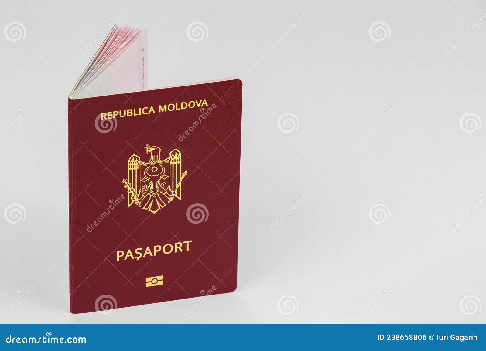 Modern Foreign Passport of a Citizen of the Republic of Moldova ...