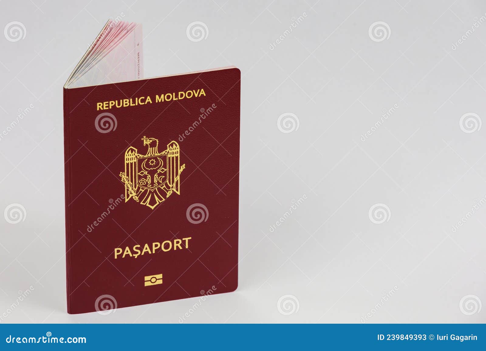 Modern Foreign Passport of a Citizen of the Republic of Moldova ...