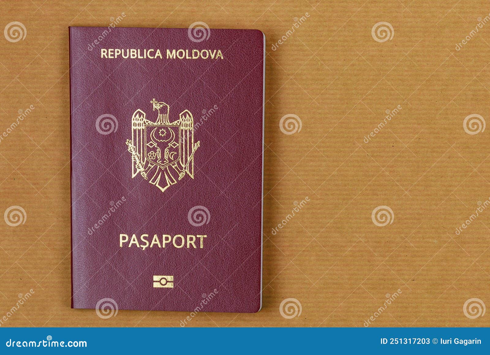 Modern Foreign Passport of a Citizen of the Republic of Moldova ...