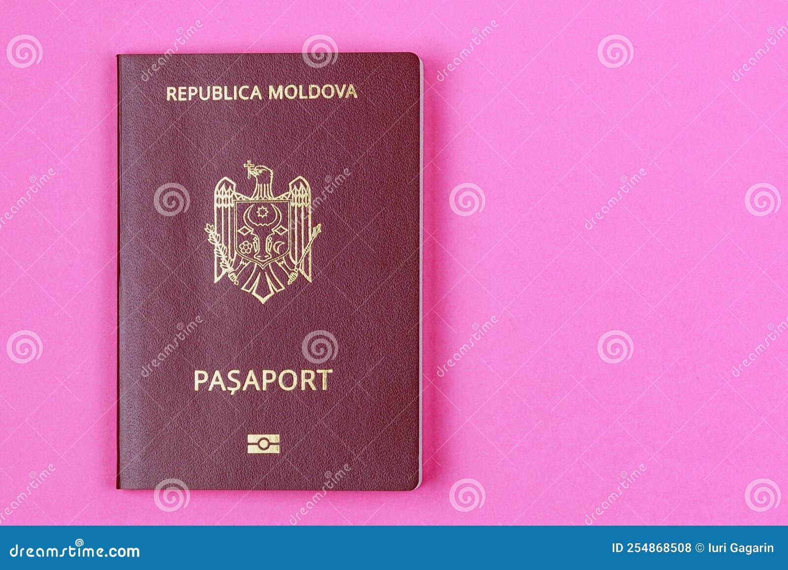 Modern Foreign Passport of a Citizen of the Republic of Moldova ...
