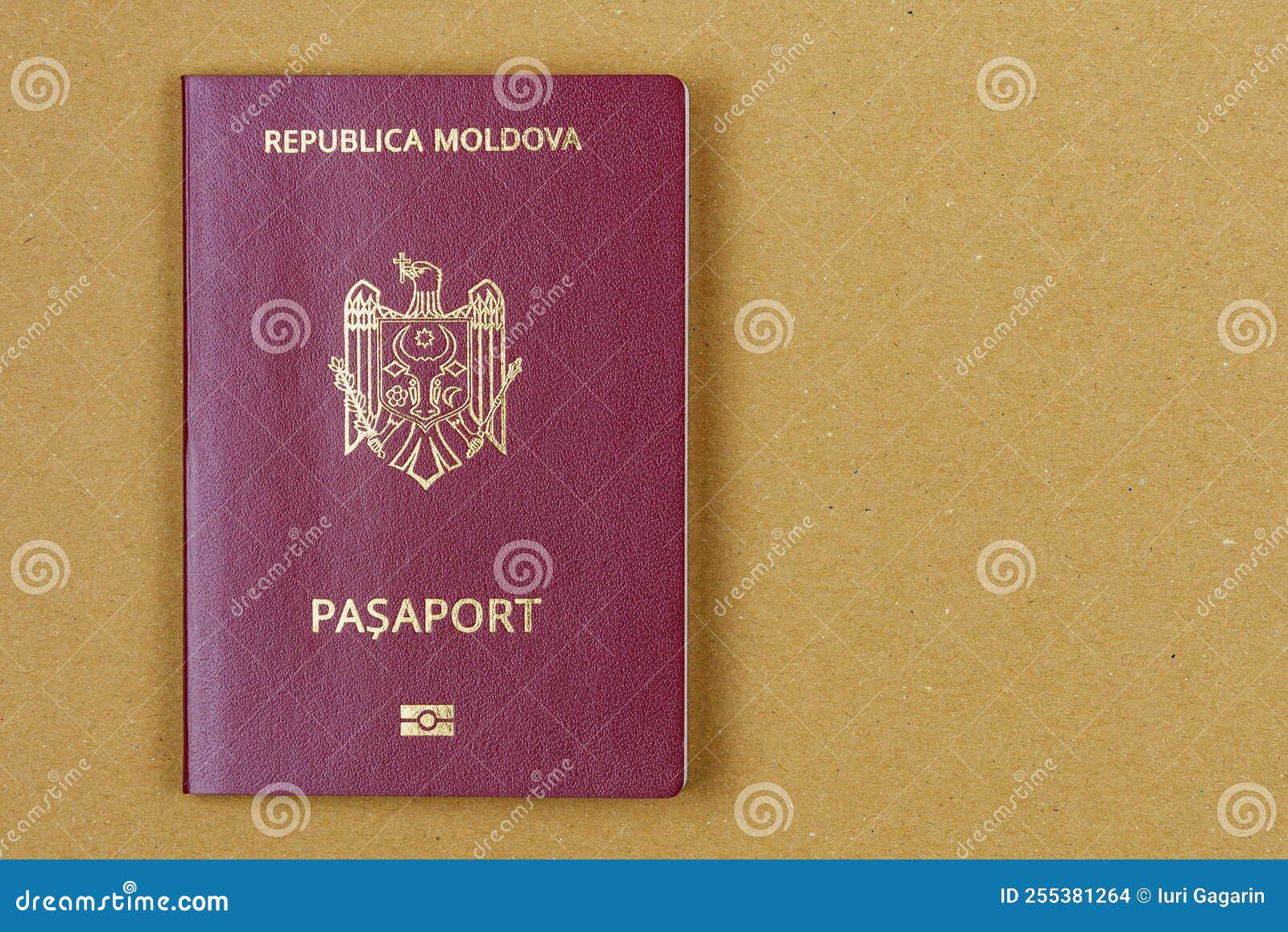 Modern Foreign Passport of a Citizen of the Republic of Moldova ...