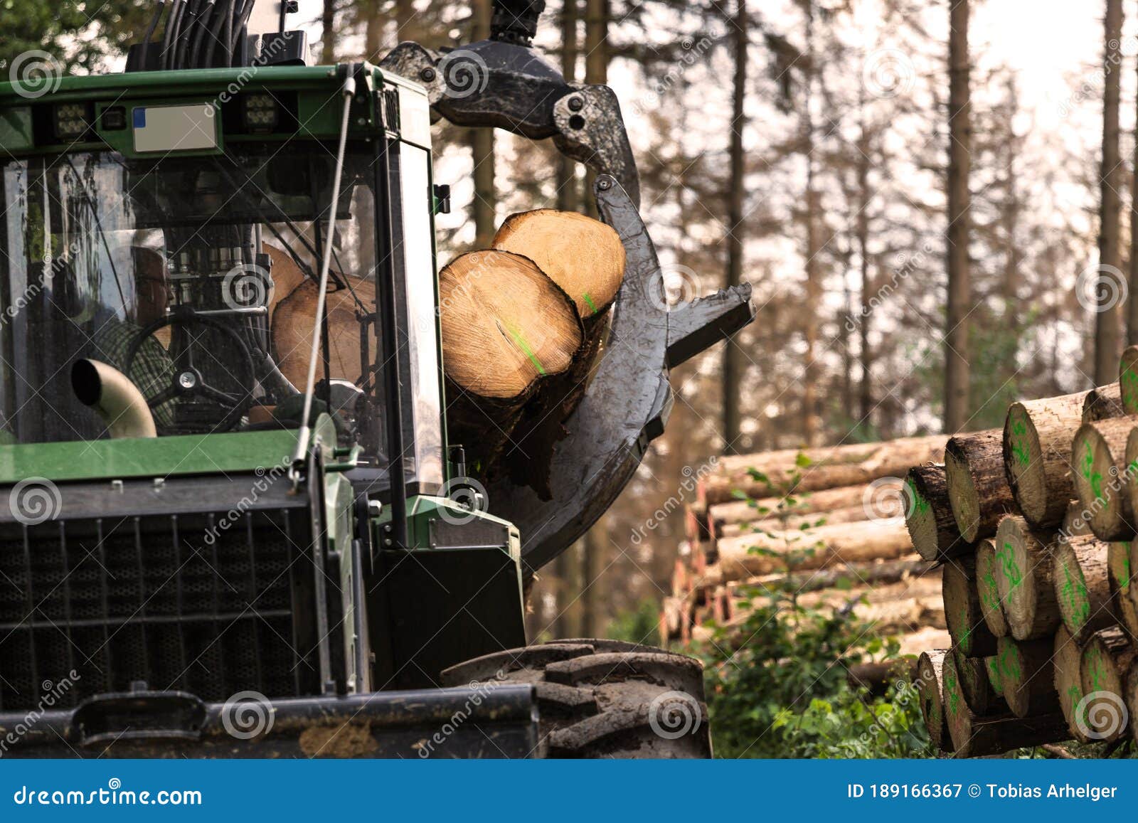 Modern Forest Machine when Felling Trees Stock Image - Image of felling ...