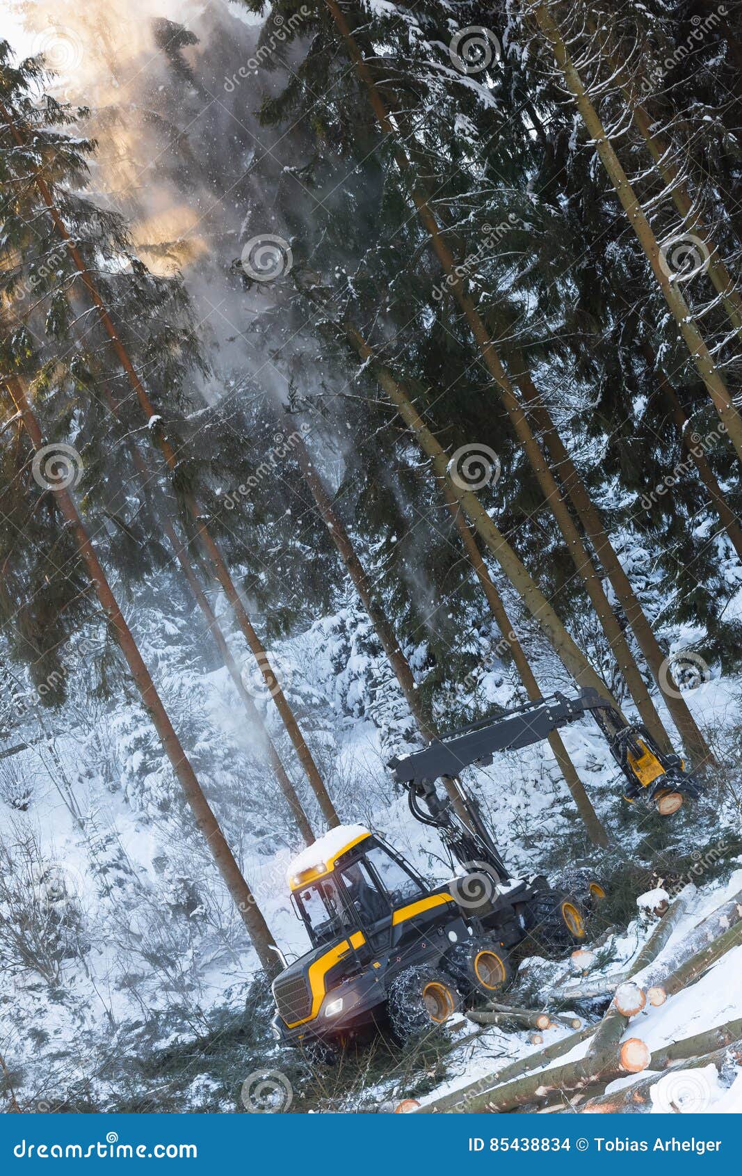 Modern Forestry Machine in a Winter Forest Stock Photo - Image of ...