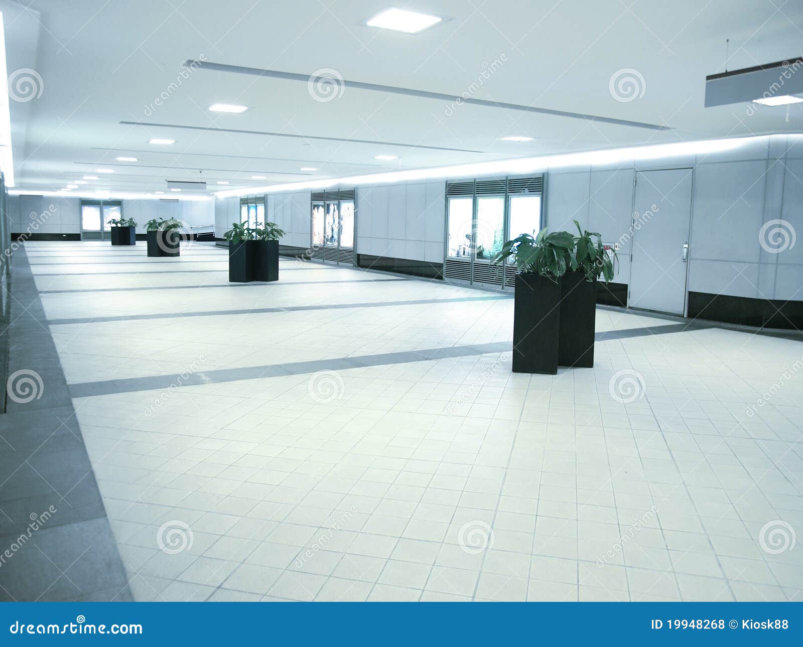 Modern gallery stock photo. Image of bright, modern, alley - 19948268