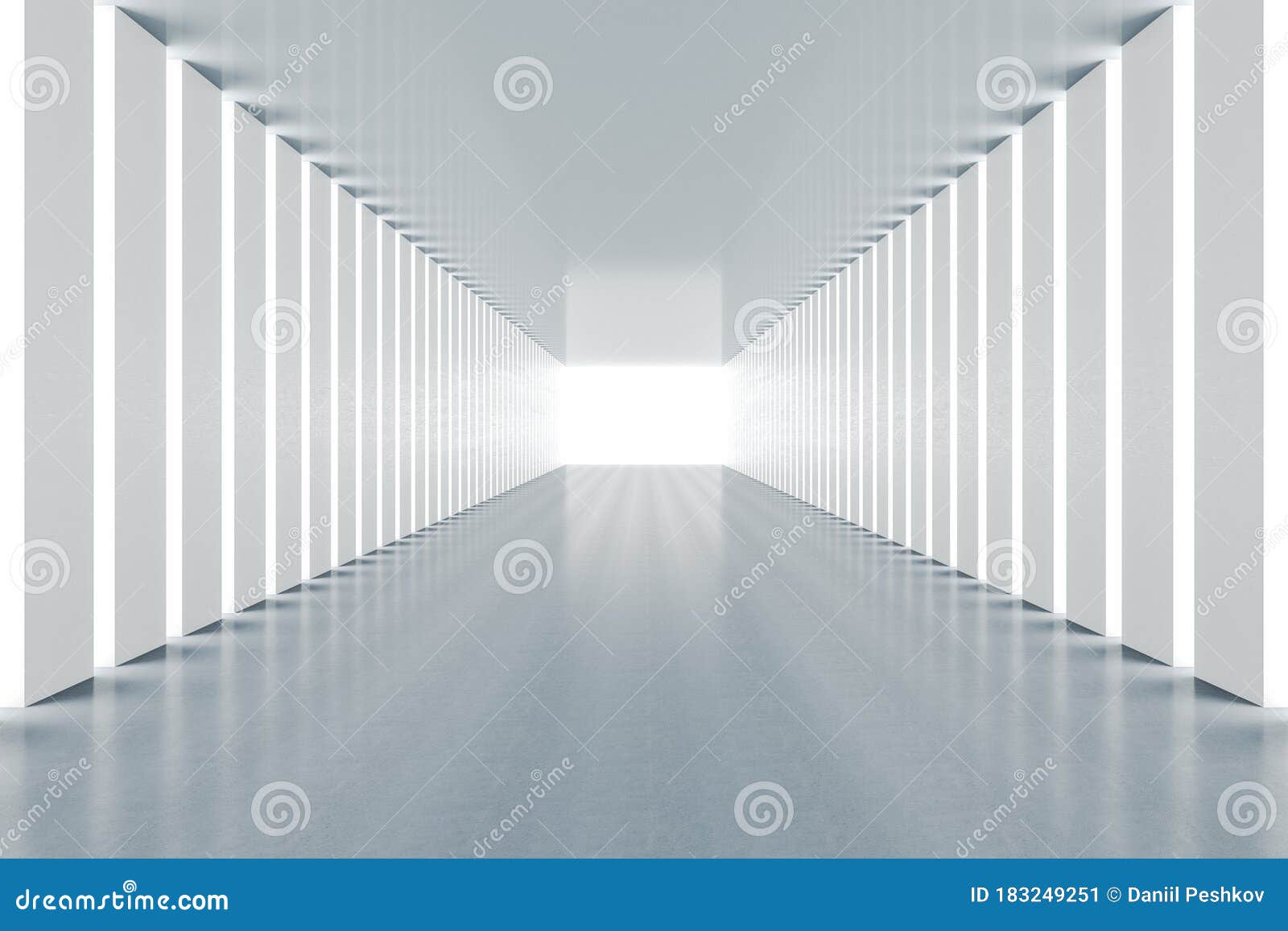 Modern Gallery Hall Interior with Columns Stock Illustration ...